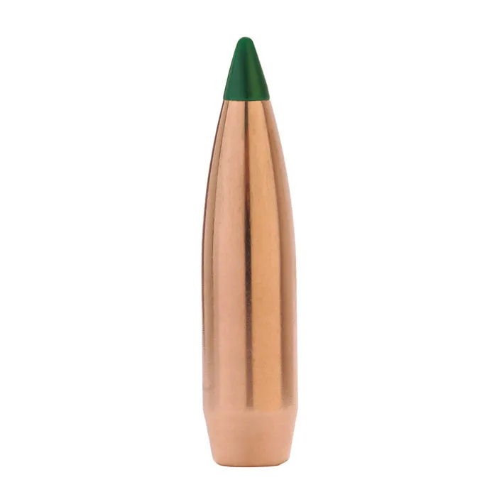 Rifle Bullets - Precision Reloading